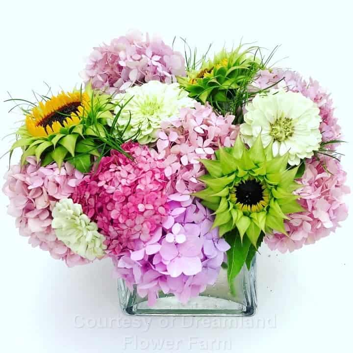 SunFill® Green - A Bouquet Green Filler Sunflowers ...